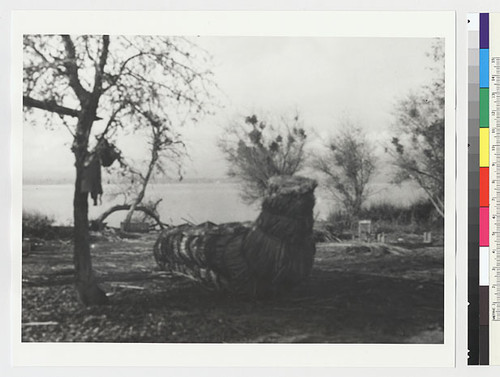 Prow view of Pomo Tule Balsa — Calisphere