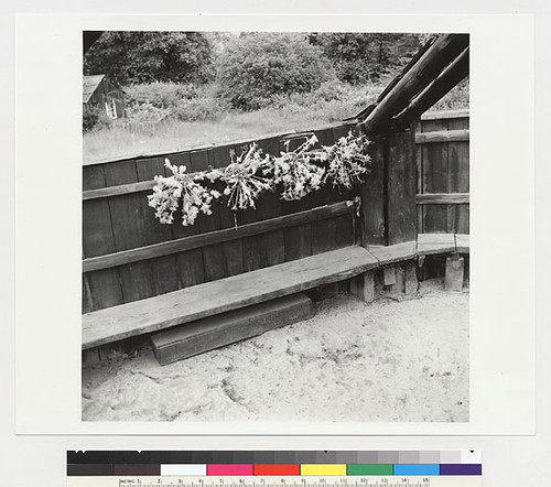 Four Bigheads hanging on back wall of roundhouse — Calisphere