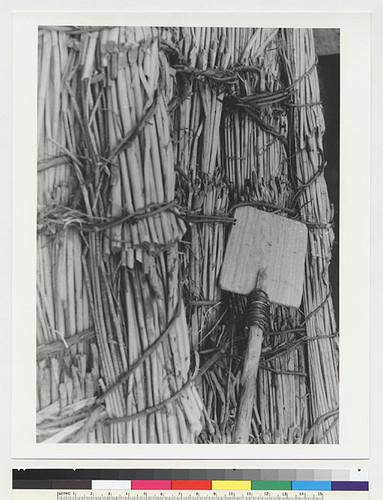 Tule balsa; showing inside of canoe and also paddle oak blade bound ...