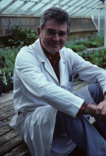 James Duffus (USDA virologist) in USDA greenhouse at Salinas — Calisphere