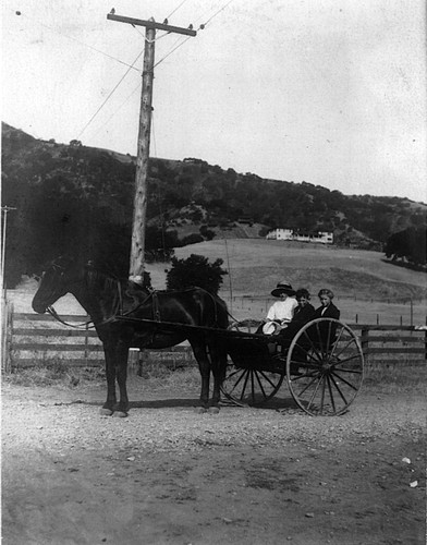Horse and buggy ride # 1, (early 1900s), photograph — Calisphere
