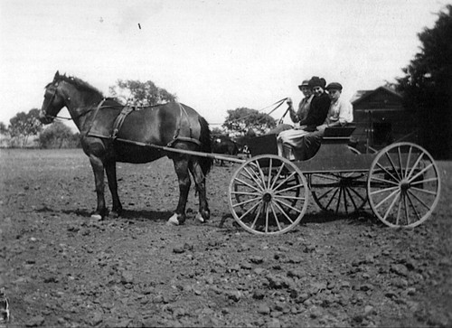 Horse and buggy ride # 2, (early 1900s), photograph — Calisphere