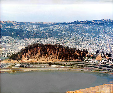 Aerial View of Albany Hill from San Francisco Bay — Calisphere