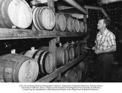 Viticulture and Enology, Research associate Harry Brenner checks on an ...