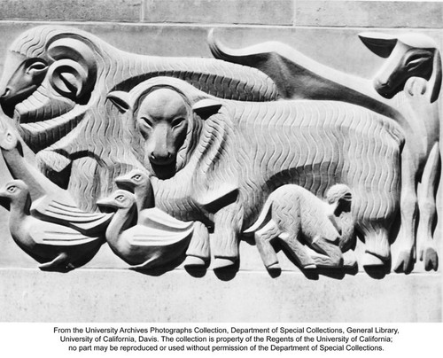Haring Hall, Stone carving facade — Calisphere