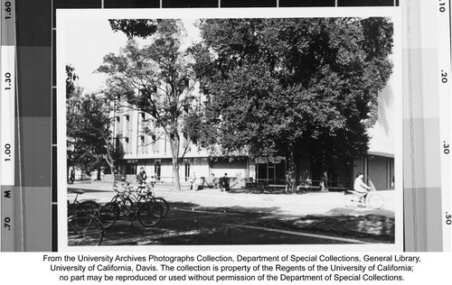 Shields Library — Calisphere