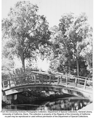 Arboretum, bridge over Putah Creek — Calisphere