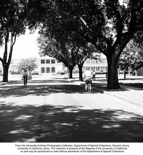 Haring Hall — Calisphere