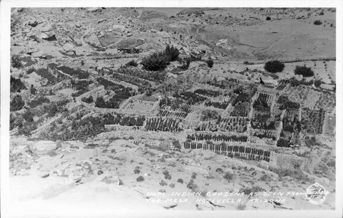 Hopi Indian Gardens as seen from the Mesa, Hotevilla, Arizona — Calisphere