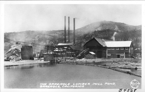 The Graeagle Lumber Mill Pond, Graeagle, California — Calisphere