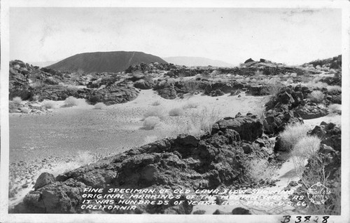 Fine Specimen of Old Lava Flow Showing Markings of the Molten Mass as ...