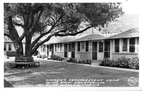 Women's Convalescent Camp Olive View Sanatorium Olive View, California ...