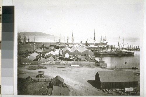 Pacific Mail Steamship Company docks at the foot of Brannan Street ...