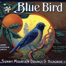 Riverside Public Library Citrus Label Collection — Calisphere