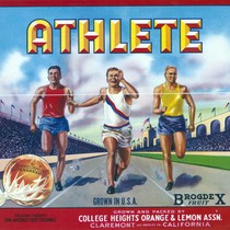 Riverside Public Library Citrus Label Collection — Calisphere