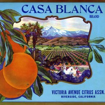 Riverside Public Library Citrus Label Collection — Calisphere