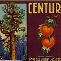 Riverside Public Library Citrus Label Collection — Calisphere