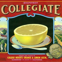 Riverside Public Library Citrus Label Collection — Calisphere
