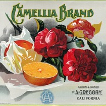 Riverside Public Library Citrus Label Collection — Calisphere