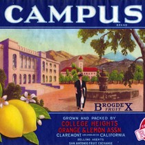 Riverside Public Library Citrus Label Collection — Calisphere