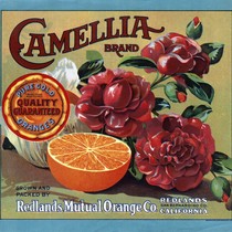 Riverside Public Library Citrus Label Collection — Calisphere