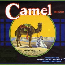 Riverside Public Library Citrus Label Collection — Calisphere