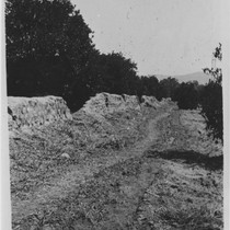 Santa Ana History Room photograph collection — Calisphere