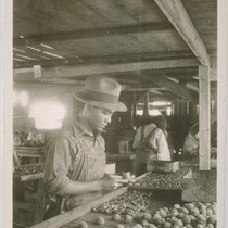 Asian Americans: Early 20th Century — Calisphere
