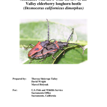 UC Riverside — Calisphere