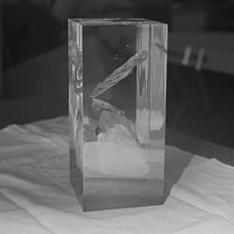 Jay Kay Klein photographs and papers on science fiction fandom — Calisphere