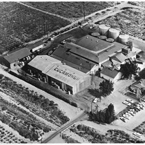 Collection of City of Rancho Cucamonga Local History Photographs ...