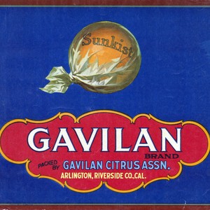 Crate label, "Gavilan Brand." Packed by Gavilan Citrus Assn., Arlington ...