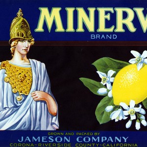 Crate label, "Minerva Brand." Grown and Packed by Jameson Company ...