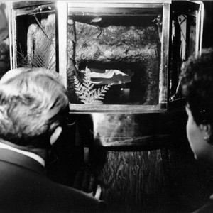 [Patrons of Bimbo's 365 Club watching "the girl in the fishbowl ...