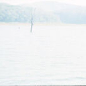 Thekkady Lake at Periyar Wildlife Sanctuary, Thekkady (India), 1984 ...