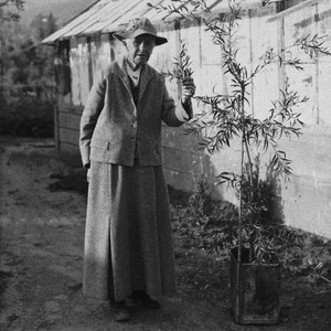 Kate Sessions holding onto the branch of a potted plant in front of a ...