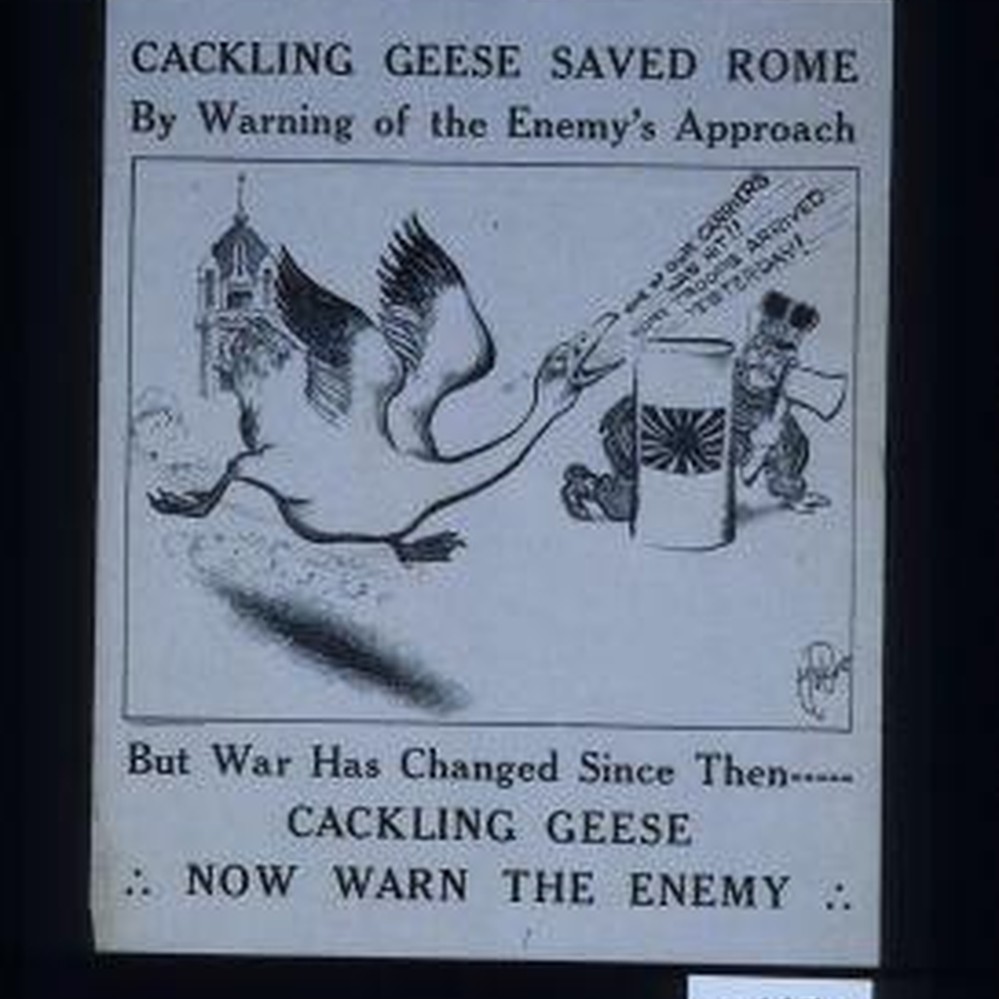 The Geese That Saved Rome Geese That Saved Rome YouTube