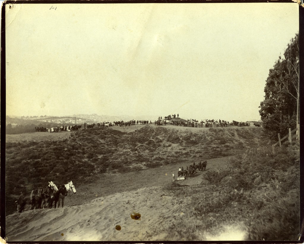 John Tuttle grading the site of the Affiliated Colleges — Calisphere