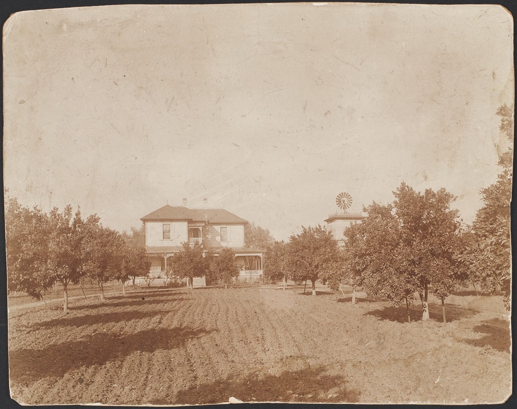 Olmsted home, Riverside — Calisphere