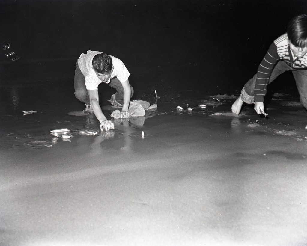 Grunion hunting on the beach at night, Newport Beach, California ...