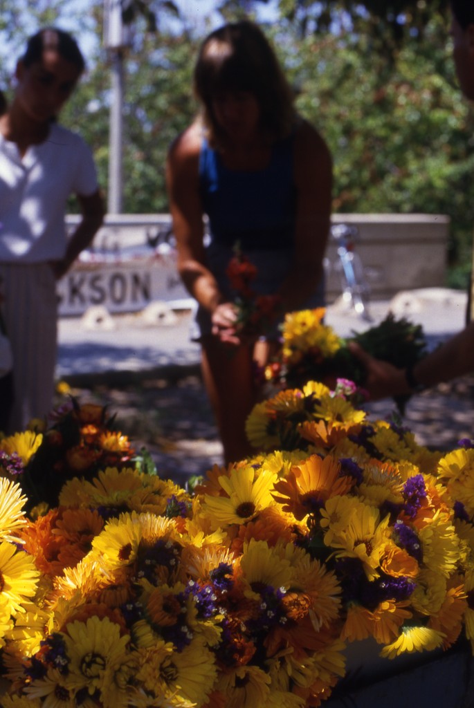 Plants and flowers, from the UCI arboretum? — Calisphere