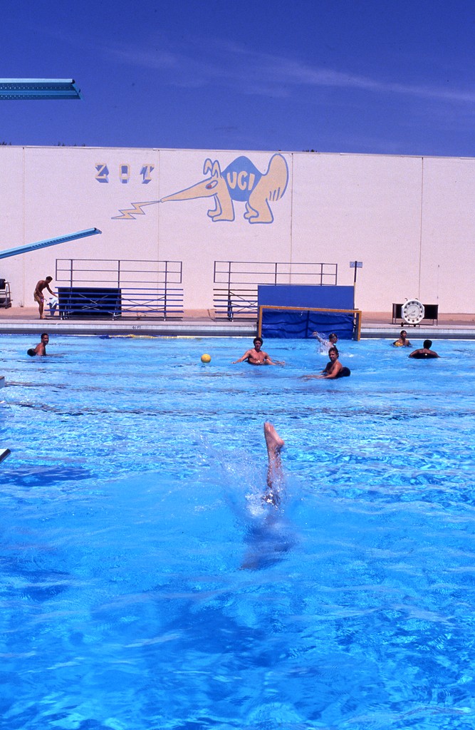 April Gibbs diving in the UCI pool. Images for View book. — Calisphere