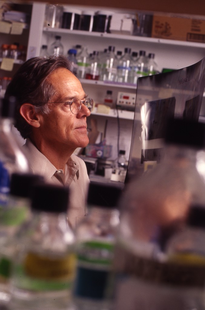 Professor Alan Barbour, Biological Sciences. — Calisphere