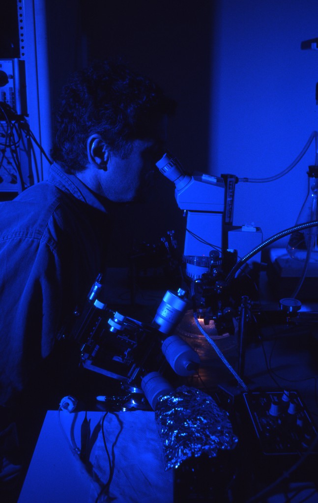 Dr. Gary Lynch in lab. — Calisphere