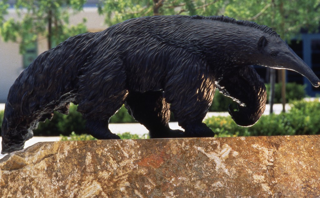 UCI Anteater Mascot — Calisphere