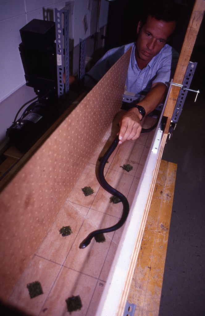 Snake Research — Calisphere