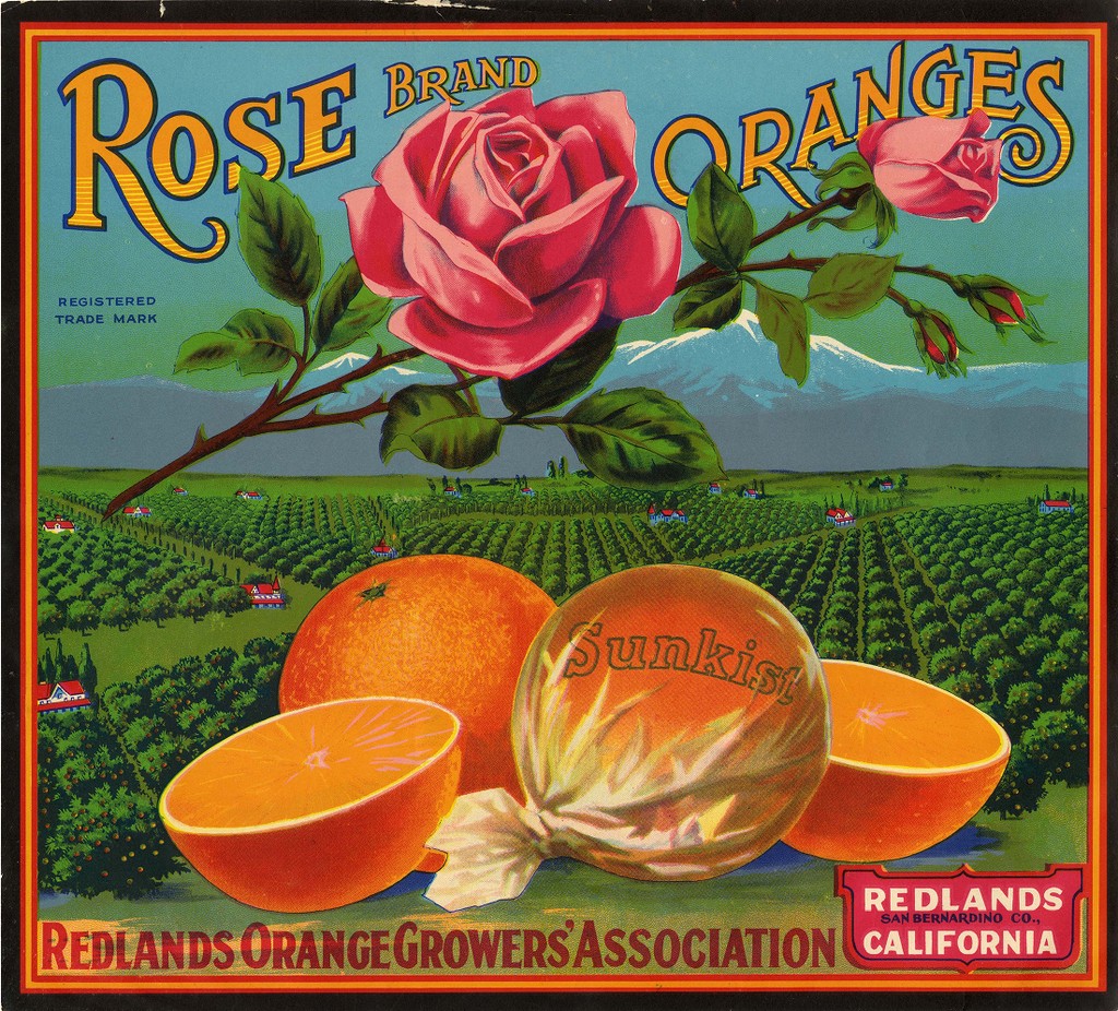 Redlands Orange Growers' Association, Rose Oranges Brand — Calisphere
