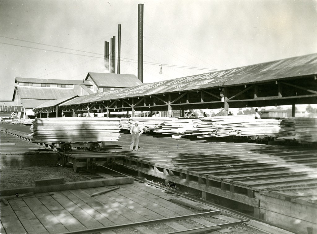 Sorting shed at the saw mill — Calisphere