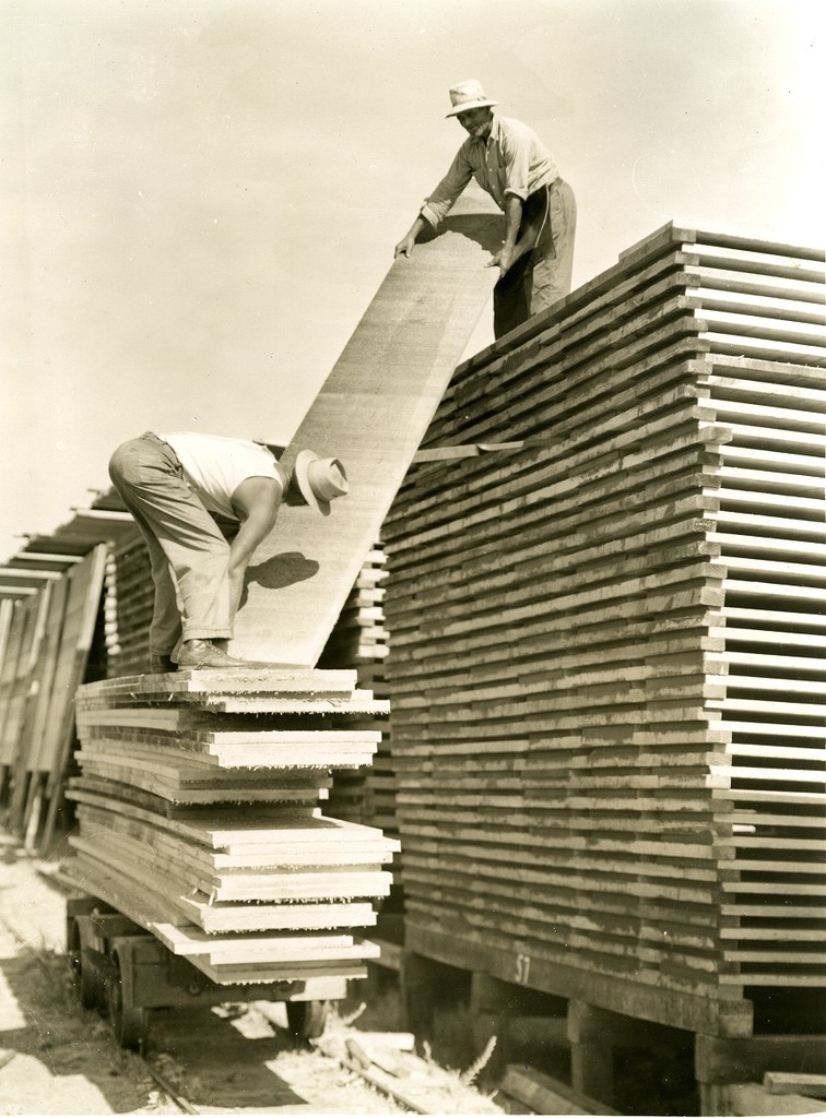 Stacking lumber — Calisphere
