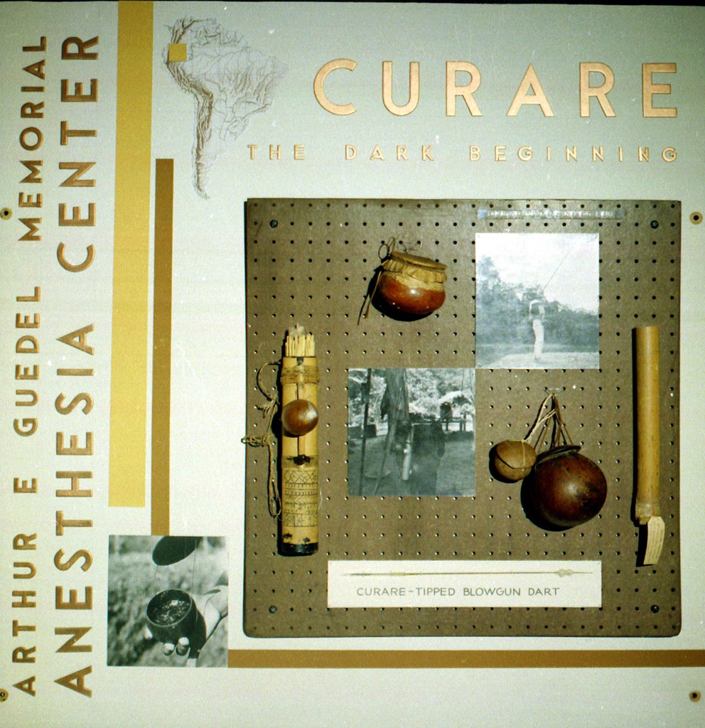 Curare: The Dark Beginning [4] — Calisphere